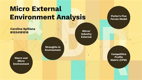 Micro External Environment Analysis By Carolina Spitiana On Prezi
