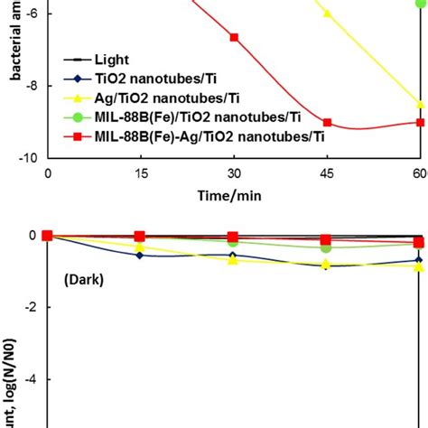 Escherichia Coli Inactivation Over The Fabricated Plates Under Uv