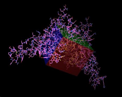 Grid Box With Autodock Tools Download Scientific Diagram