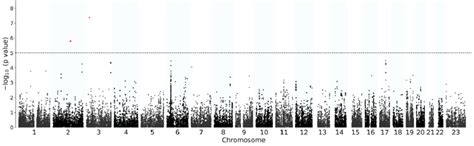 Manhattan Plot Of Gene Based Association Analysis Of Hypertensive