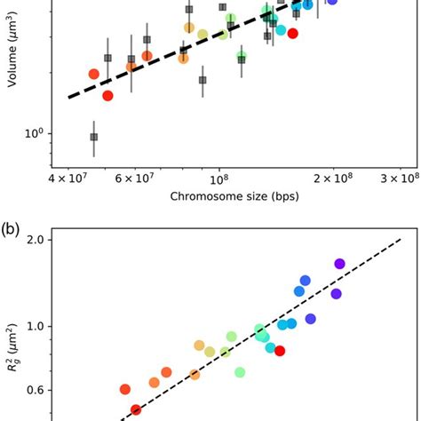 A Plot Of The Square Of The Radius Of Gyration R 2 G As A Function Of