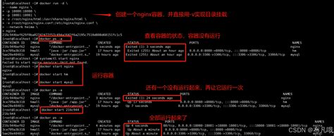 项目部署 通过docker手动部署前后端分离项目（全网超级详细 的教程）docker部署前后端分离项目 Csdn博客