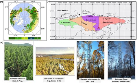 Panel A Land‐cover Map Of The Boreal‐arctic Zones 45°n Panel