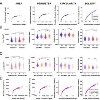 A Normal QQ Plots Of The Area Perimeter Circularity And Solidity Download Scientific