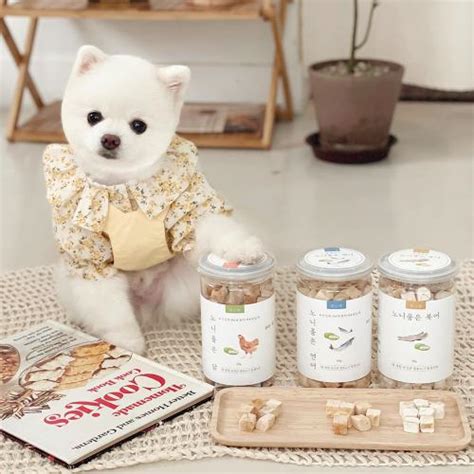 도러블 펫 아이스크림 120ml474ml 닭 연어 딸기 블루베리 주베베