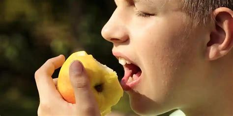 Definition Of Bite Example Synonym And Antonym