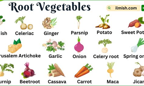 White Root Vegetables List