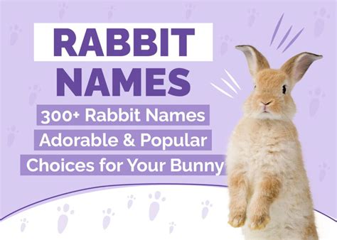 300 Rabbit Names Adorable And Popular Choices For Your Bunny Hepper