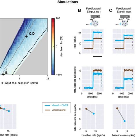 experimental linear scaling can be replicated in networks receiving