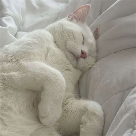 독서를 하면서 10년 동안 먹던 정신과 약을 모두 끊었다 약 없이도 잠을 잘 수 있다는 사실에 놀랐지만 가장 놀라운 건 뇌가 전과는 다른 사고를 했다 나의 뇌는 본래의