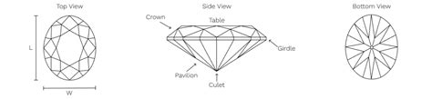 Oval Cut Diamonds Information