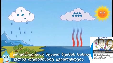 წყლის ბრუნვა ბუნებაში Youtube