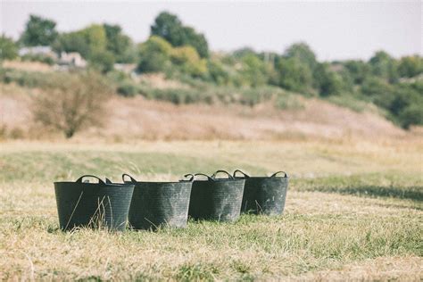 Rust Challenge Two Bucket Learning Rust Through Small Challenges By