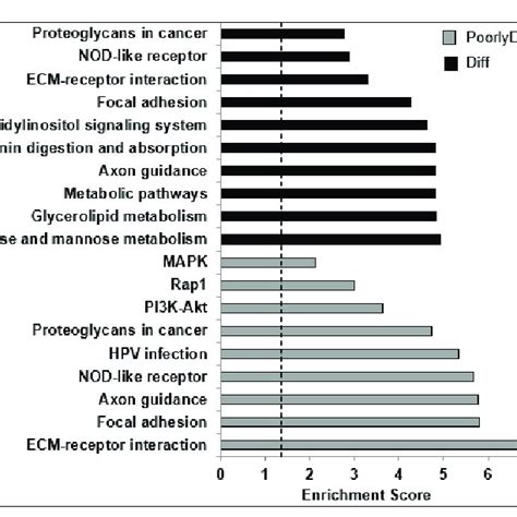 A Numbers Of Differentially Expressed Genes Degs From Rna Seq Of