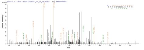 Cr1 Human Recombinant Protein Li Expressed Gst Tag