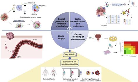 🟥 Application Of Spatial Omics In Personalized Tumor Analysis Jack