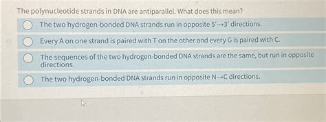 Solved The Polynucleotide Strands In Dna Are Antiparallel