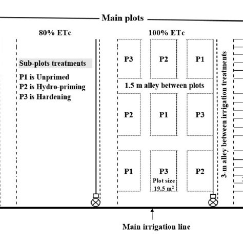 Layout Of The Experiment Presenting Four Irrigation Regimes In Main