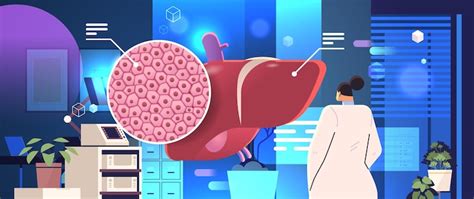 상세한 설명을 보여주는 연구원 해부학적 간 구조 인체 내부 장기 해부학 의학 의료 프리미엄 벡터