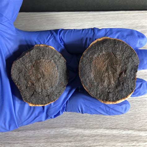 202g Split Hematite Nodule Concretion Natural Sphere Round Ball