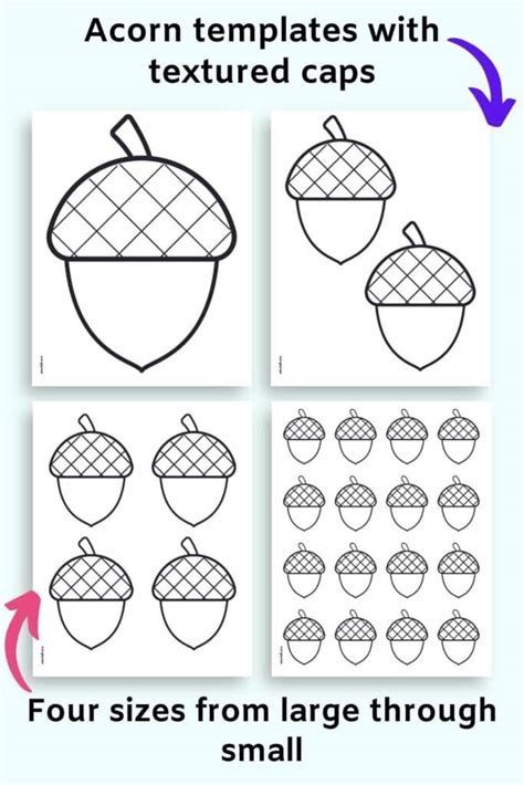 Acorn Template Printable