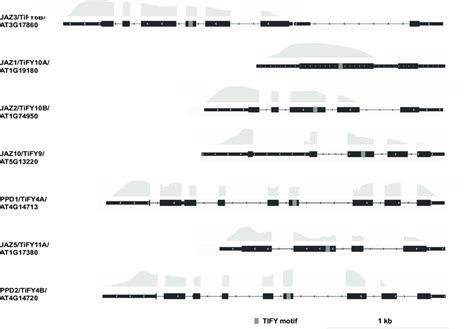 Ngs Coverage Of The N Tpl Interactors Using Cutoff Of Snr N Tpl Empty Download Scientific