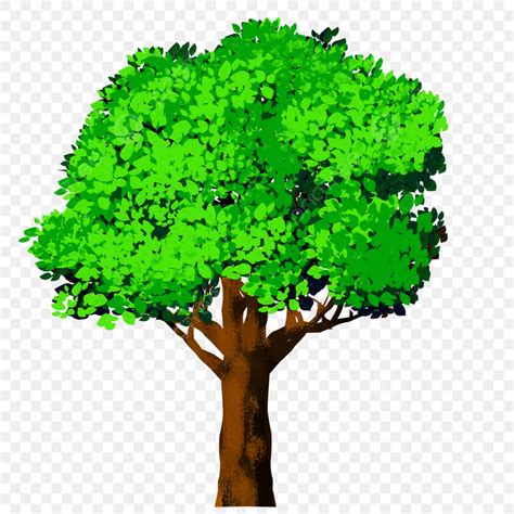 삽화 큰 나무 Png 나무 Png 삽화 나무 Png 큰 나무 Png Png 일러스트 및 Psd 이미지 무료 다운로드 Pngtree