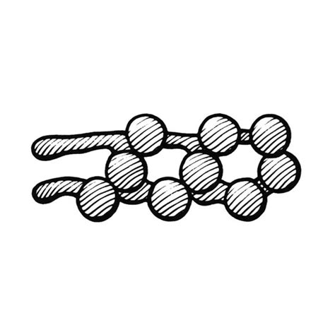 Monomers And Polymers A Beginners Guide