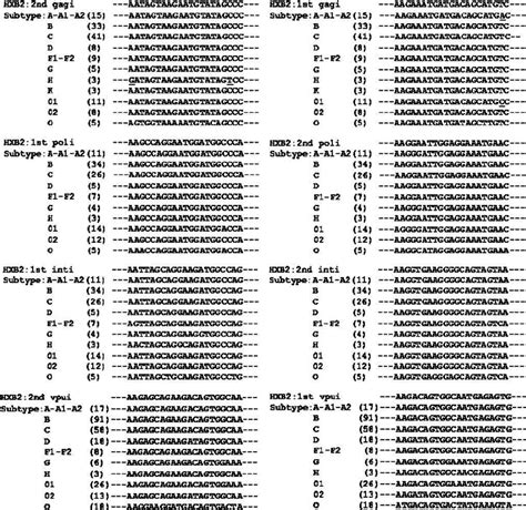 Sequence Alignment Of Sirna Target Sites In Different Subtypes Of