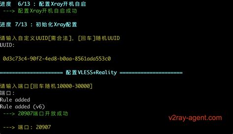 搭建最新的vision和reality防止vps端口封禁 look for vps