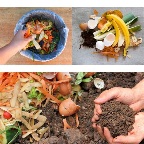 Commercial Services Carbon Compost Commercial Services Carbon Compost