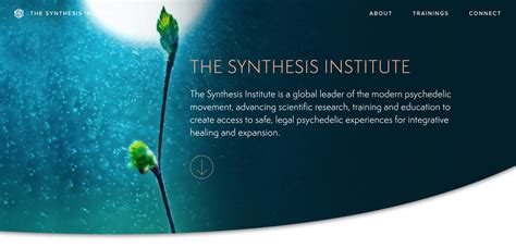 Oregon Psilocybin Facilitator Training Goes Dark Leaving Babes Confused And Angry