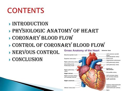 Cardiovascular Hemodynamics