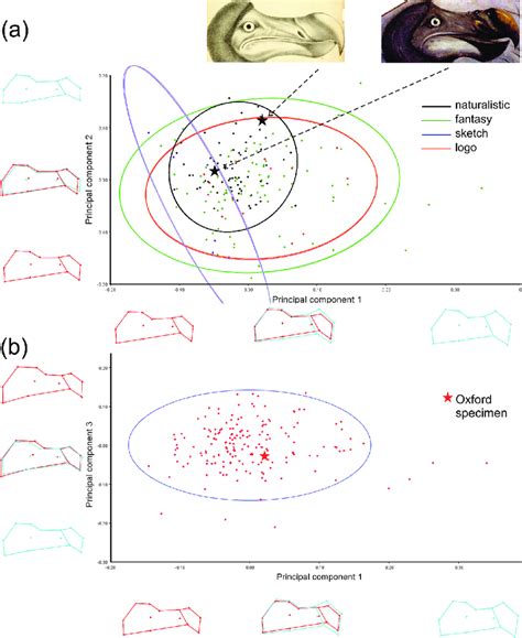 Principal Component Analyses Plots The Wireframes Of The First Three