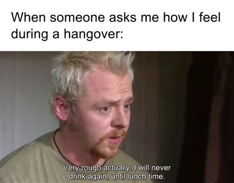 Alcohol Hangover Memes