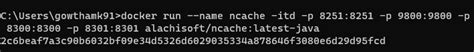 Getting Started With NCache Java Edition Docker Workplace Management Platforms