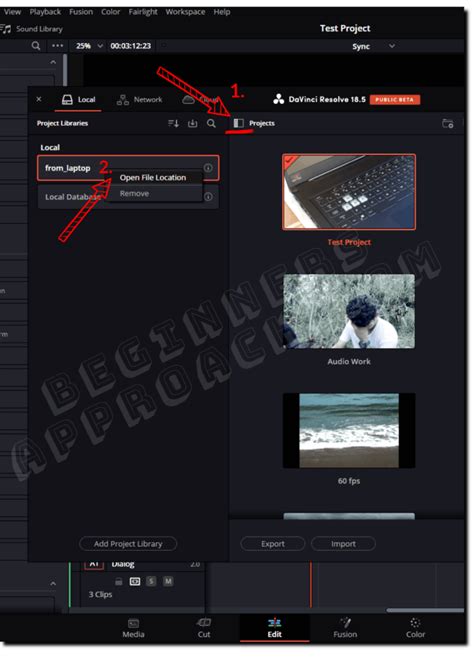 How To AutoSave In DaVinci Resolve Tips FIXES