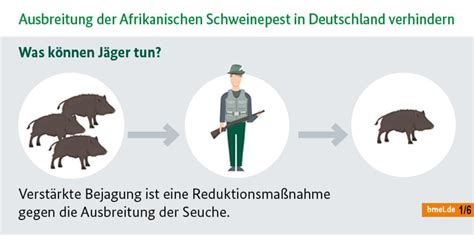 Informationen Zur Asp