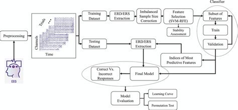 Detailed Single‐trial Classification Process For Predicting Target Download Scientific Diagram