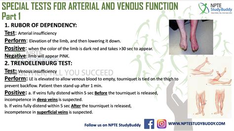 Arterial And Venous Function Special Test 1 Physical Therapy