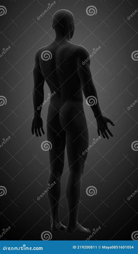 3d Rendering Of Human Brain On Technology Background Royalty Free Stock