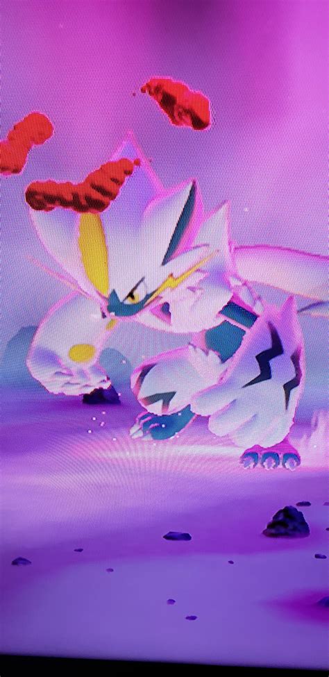 Gen 8 For Those Who Dont Know You Can In Fact Find Shiny Zeraora In The Raids Add This To