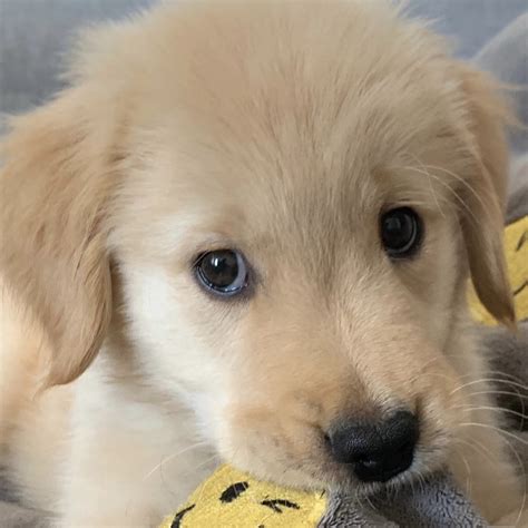 Cybersecurity Portfolio