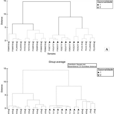 Cluster Hierarchical Classification Methods A São Luís B São José Cluster Hierarchical Classification Methods A São Luís B São José