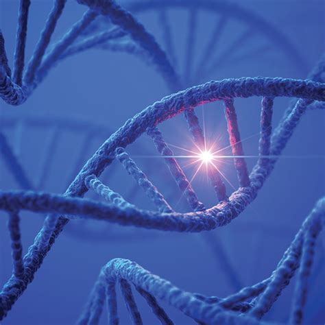 Newly Discovered Mutation On Hoxb13 Is Linked To More Aggressive Cancer