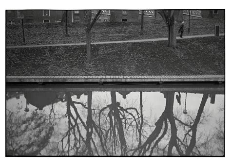 A Trinocular Vision Leicaphilia