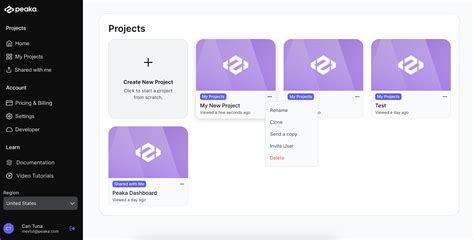 How To Clone A Project In Peaka Peaka