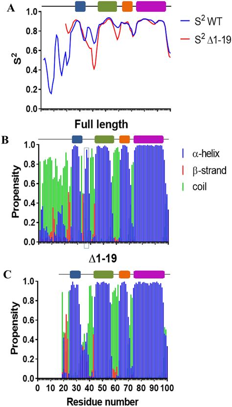 Protein Dynamics And Secondary Structure Prediction Of Full Length And Download Scientific