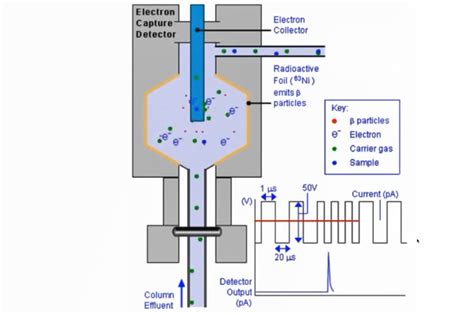 Gc Detectors Ecd Chromacademy