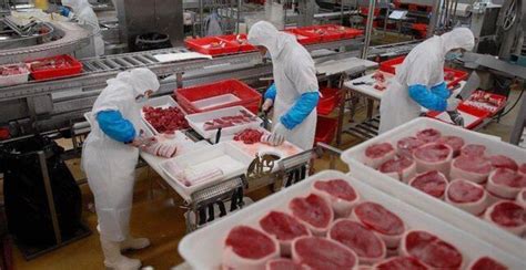 Janzé Saviel Propose 80 Postes En Travail Saisonnier Saint Malo